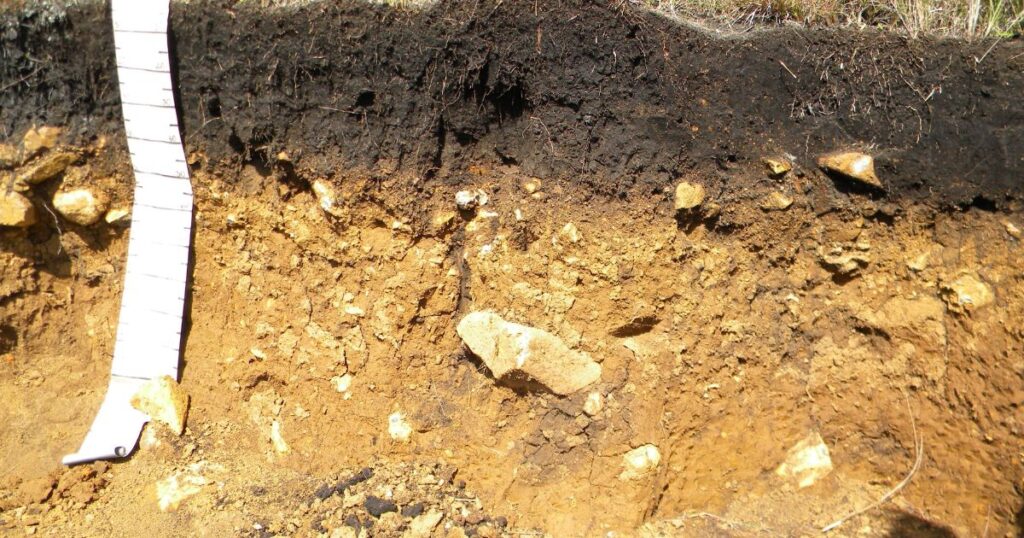 Soil Remediation Best Practices: How We Clean Contaminated Sites